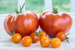 Cheesy Orzo Baked Stuffed Tomatoes - Jen Elizabeth's Journals