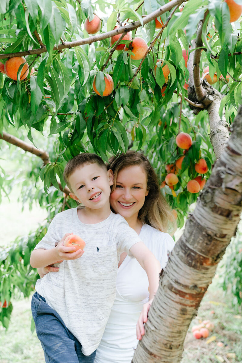 Who (Or What) Can We Trust For Sure? - Jen Elizabeth's Journals